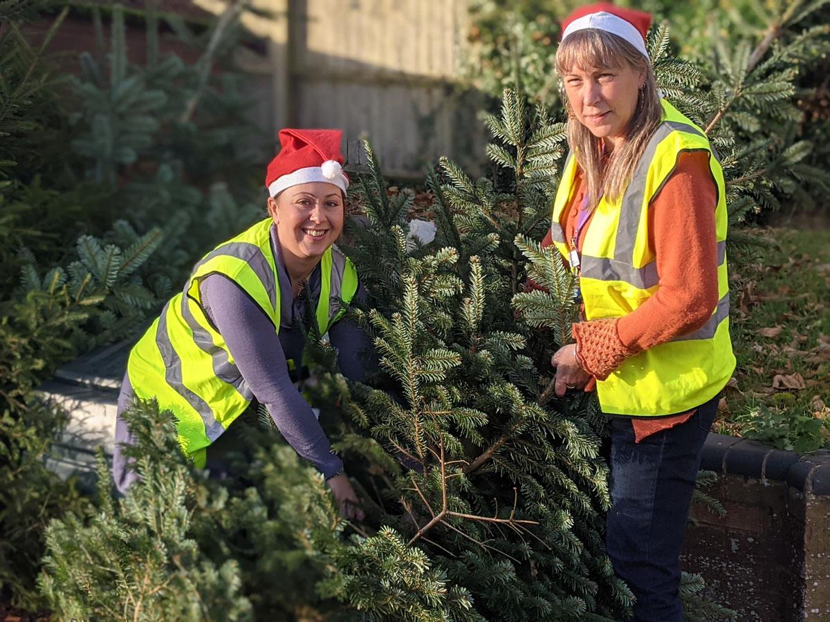 Christmas tree-cycle scheme to benefit Hospice - Banbury FM